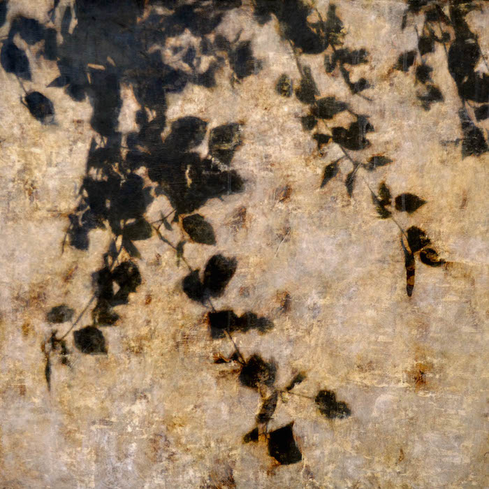 David Kidd at Addington Gallery